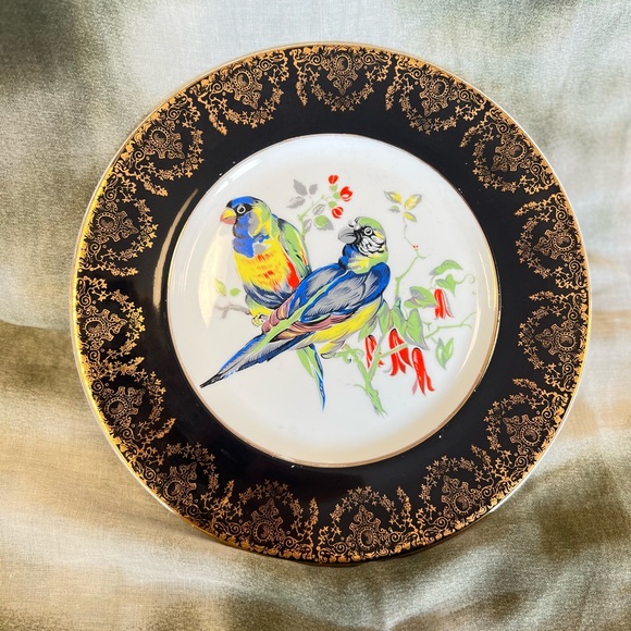 Accents | Vintage German Style Parrotparakeet Plate Set | Poshmark